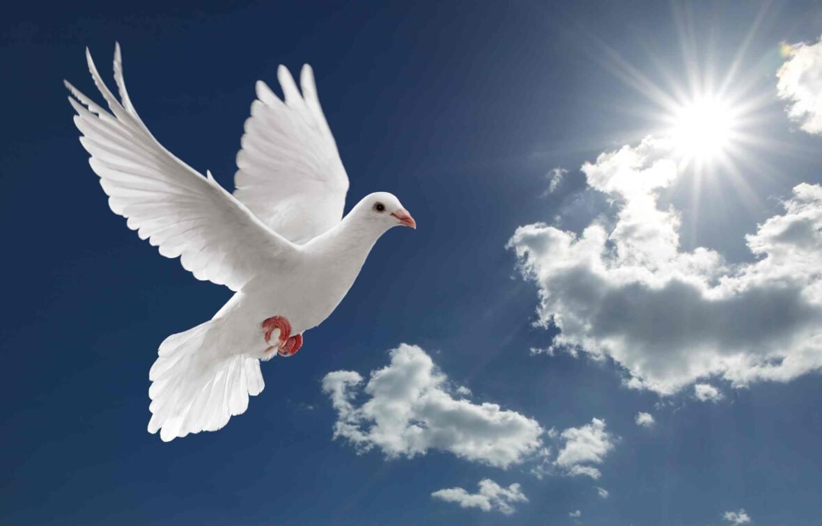 Romantic Symbols of Love and Their Deeper Meanings