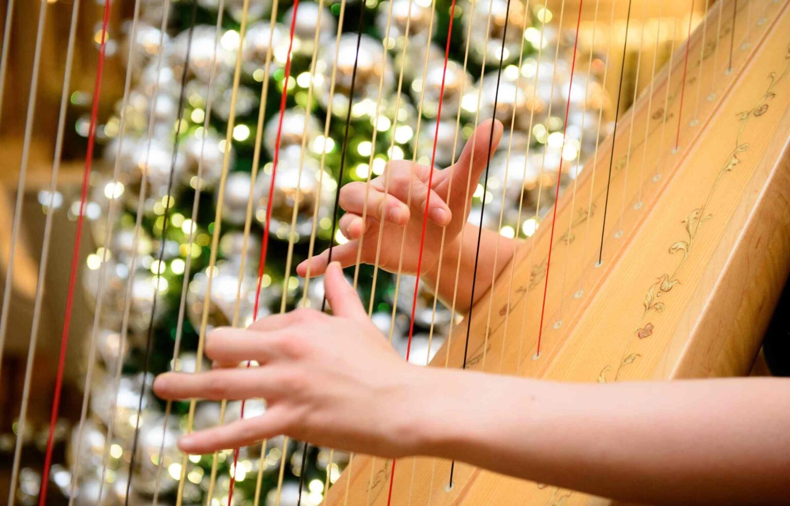 Romantic Symbols of Love and Their Deeper Meanings